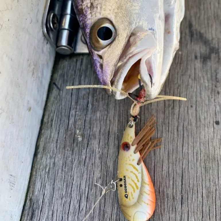 Ecogear ZX40 - Perth Fishing